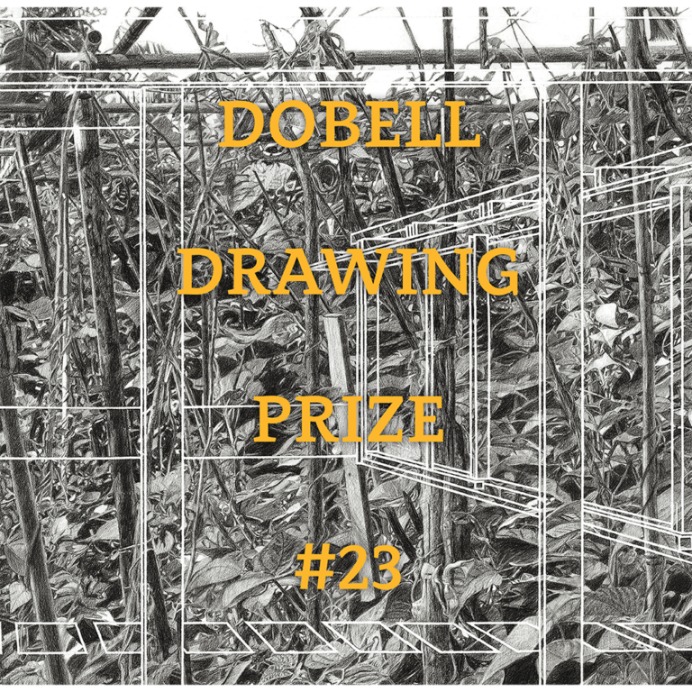 24th Dobell Drawing Prize - National Art School
